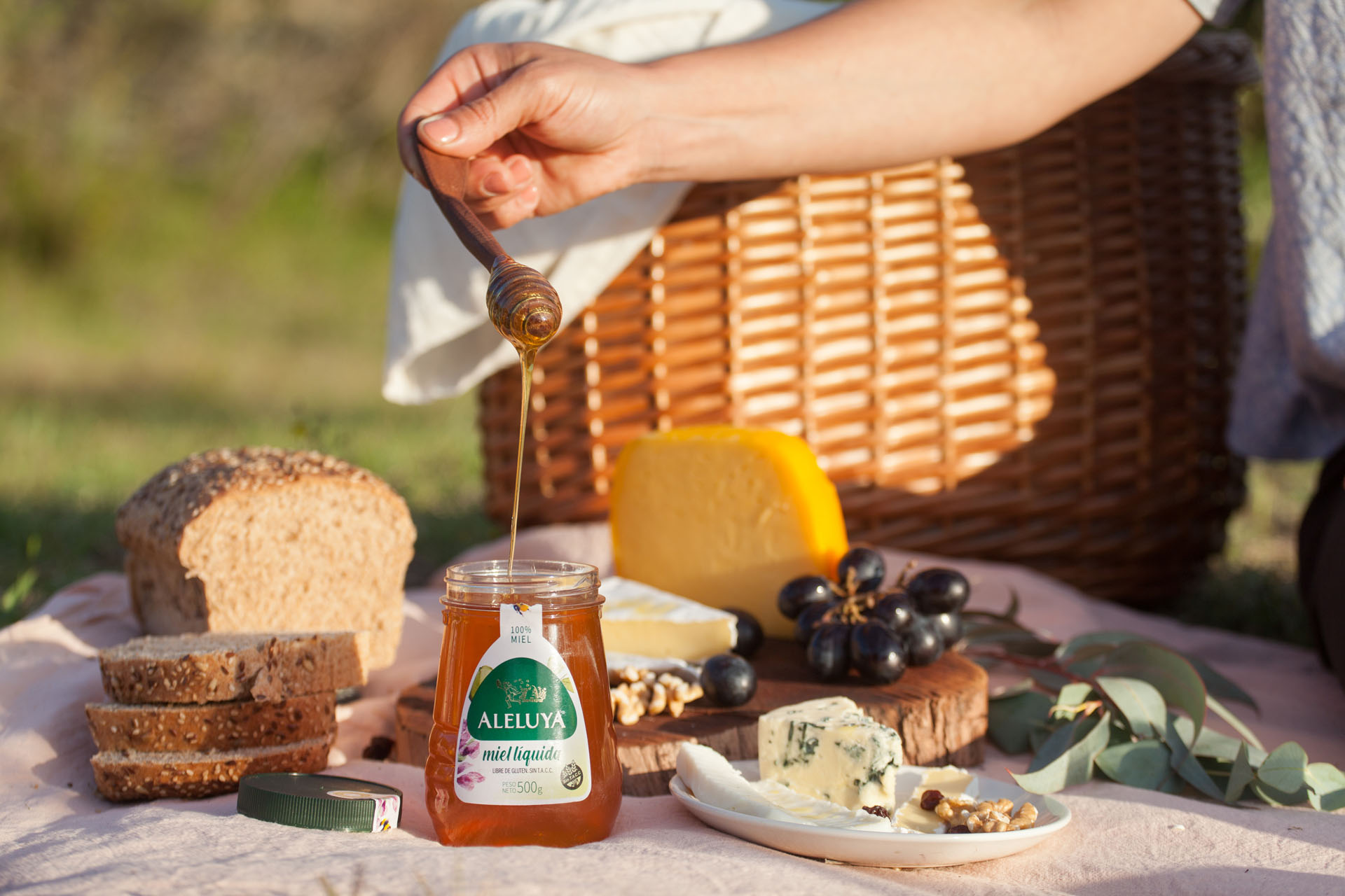 Miel Aleluya — Queso de cabra con miel y comino